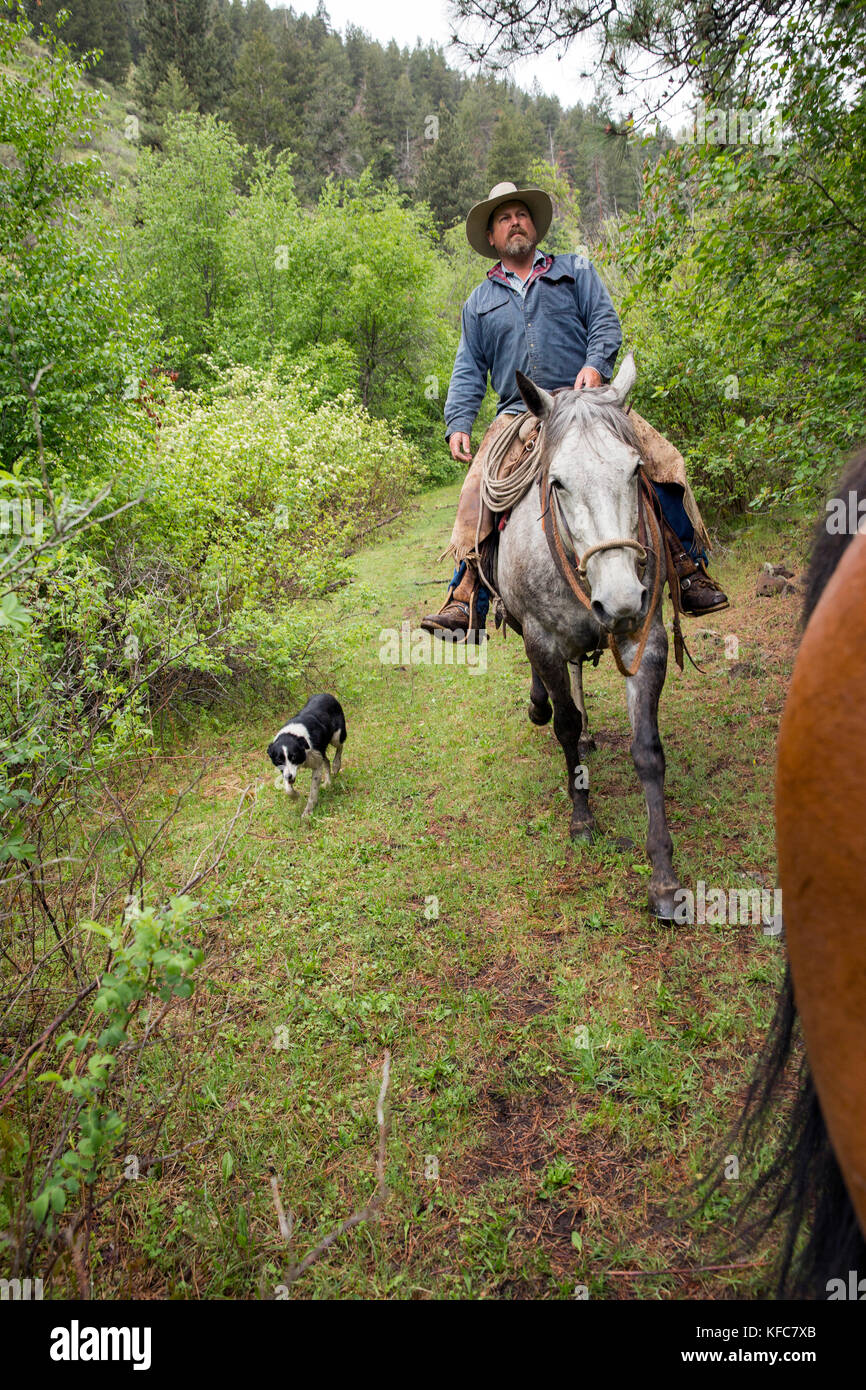 Three cowboys on horseback hi-res stock photography and images - Alamy