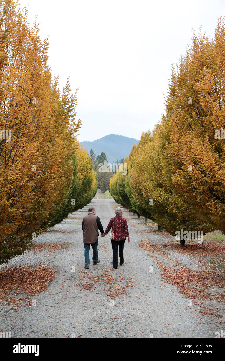 USA, Oregon, Medford, Cal and Judy Schmidt stand among the trees on ...