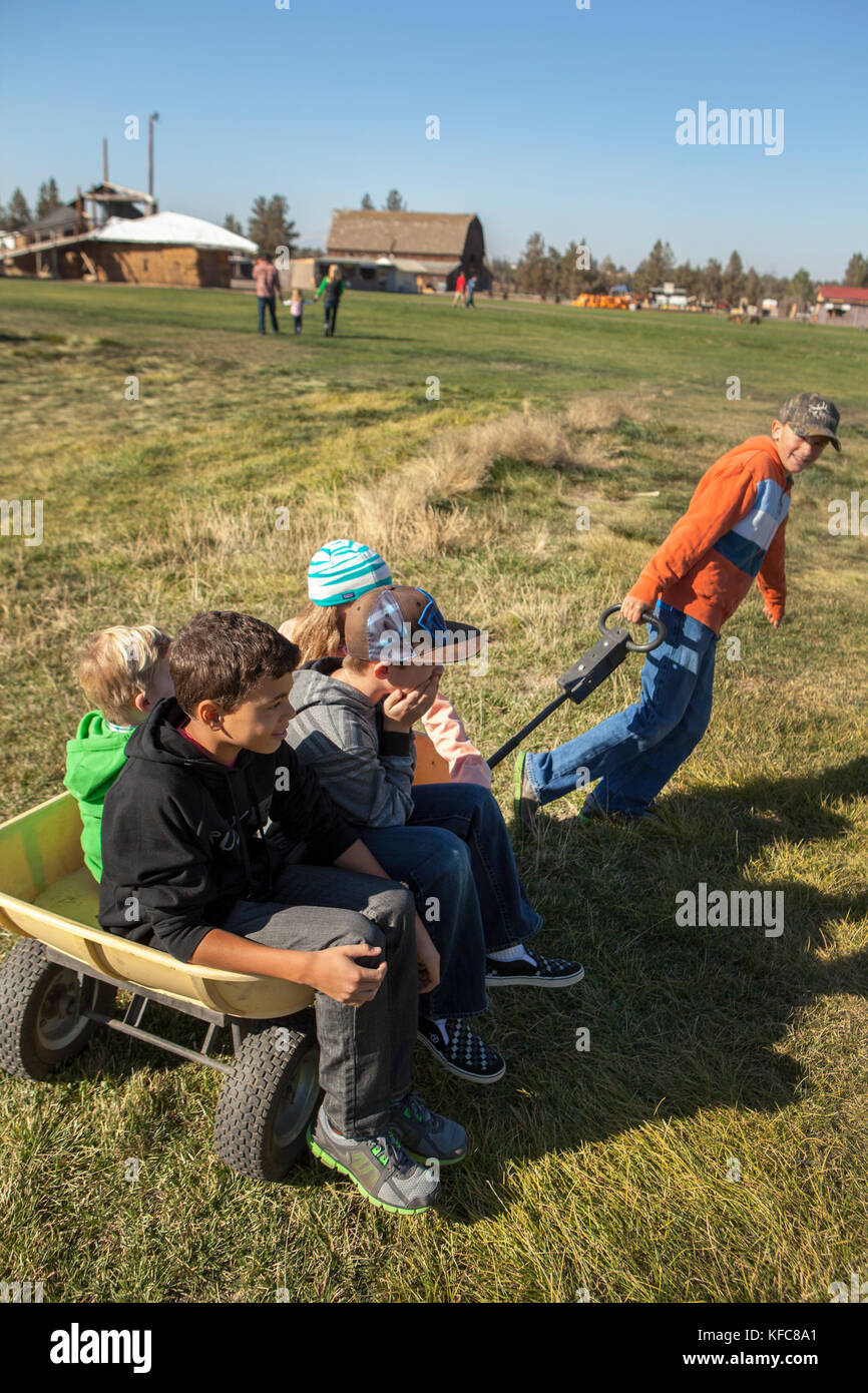 USA, Oregon, Bend, young kids play around in a wheelbarrow during the ...