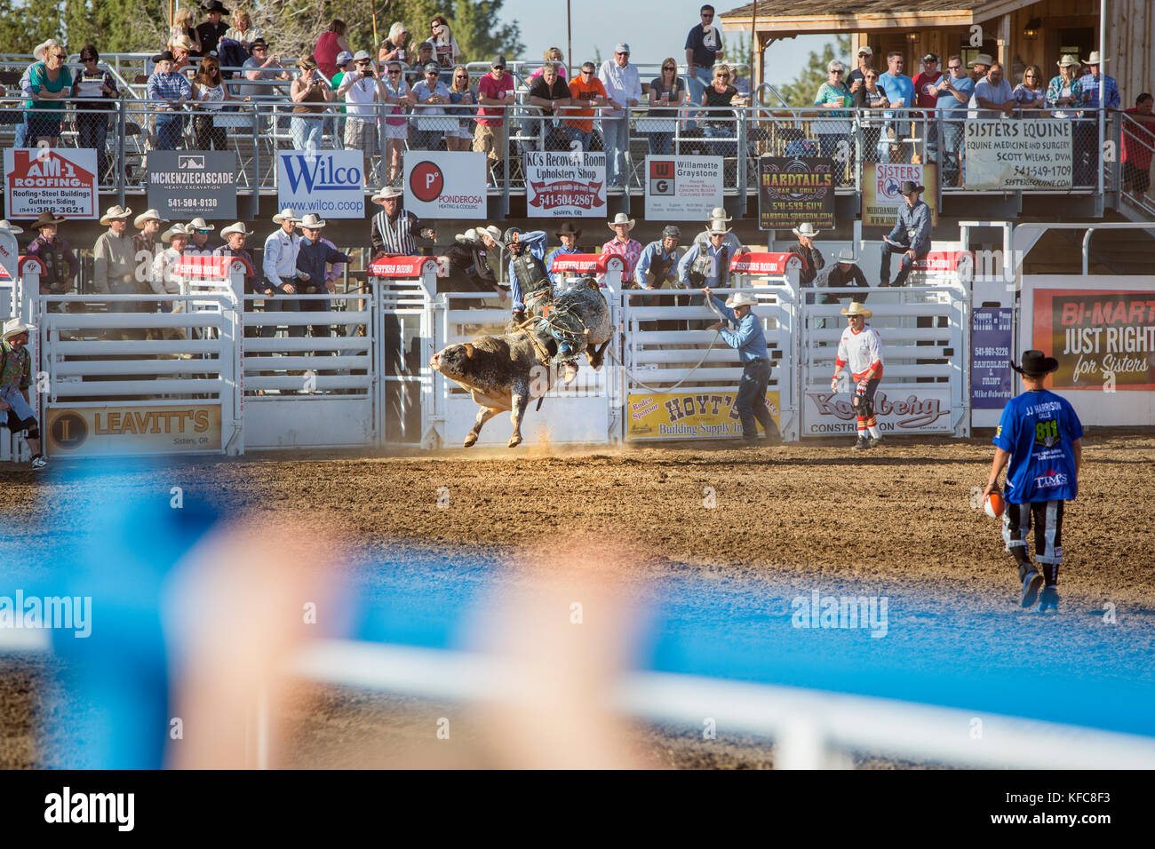 USA, Oregon, Sisters, Sisters Rodeo, cowboys ride a 2,000 pound bull ...