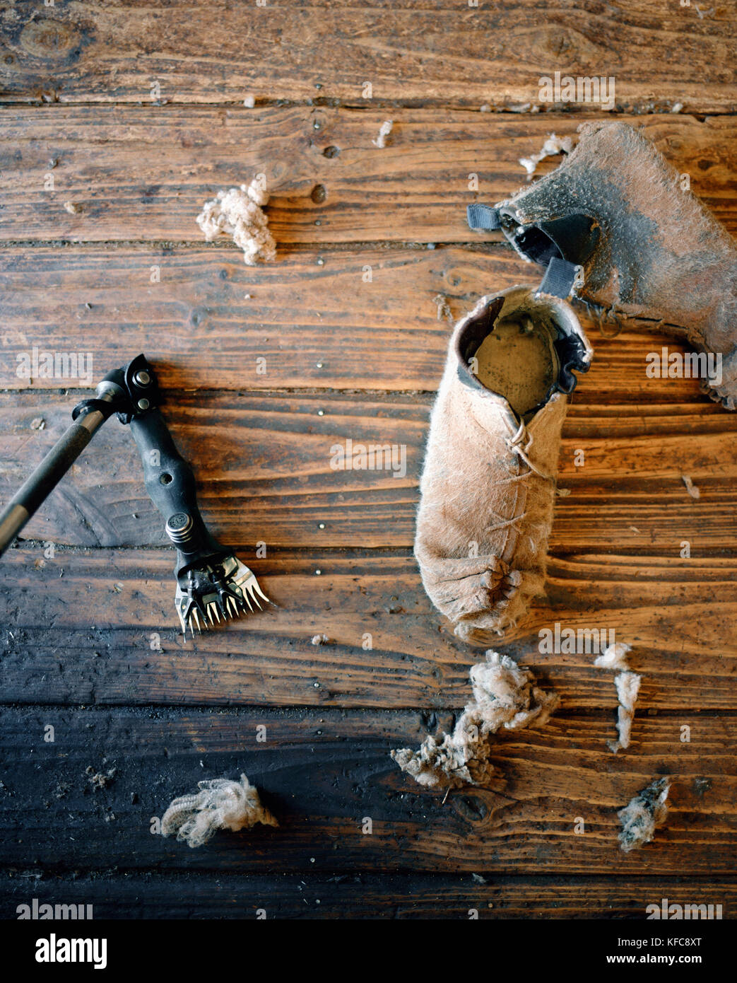 AUSTRALIA, Rawnsley Park Station, the Outback, shearing shoes and ...
