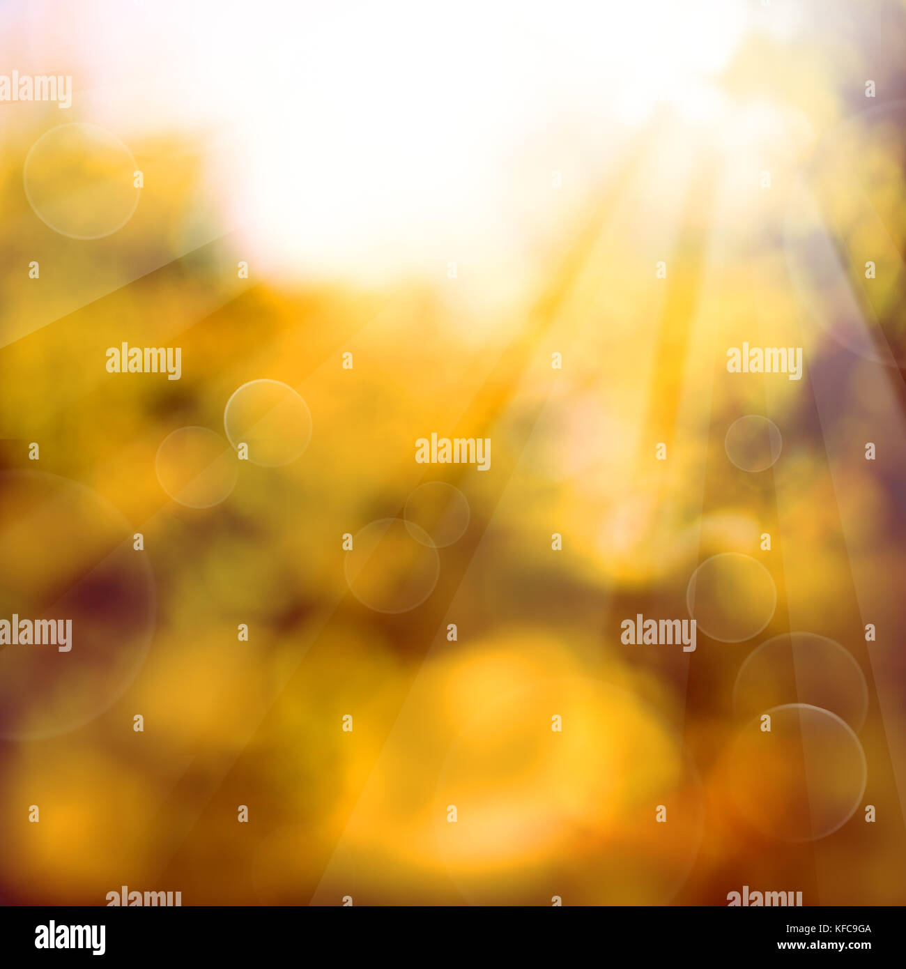 Orange Background with Sunlight Stock Photo - Alamy