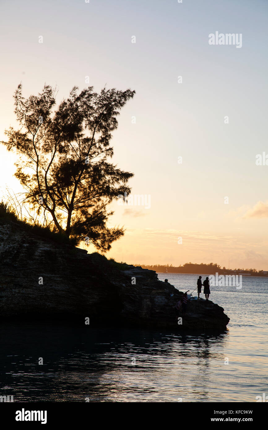 BERMUDA. Hamilton Parish. Cliff jumping, swimming off a point in ...