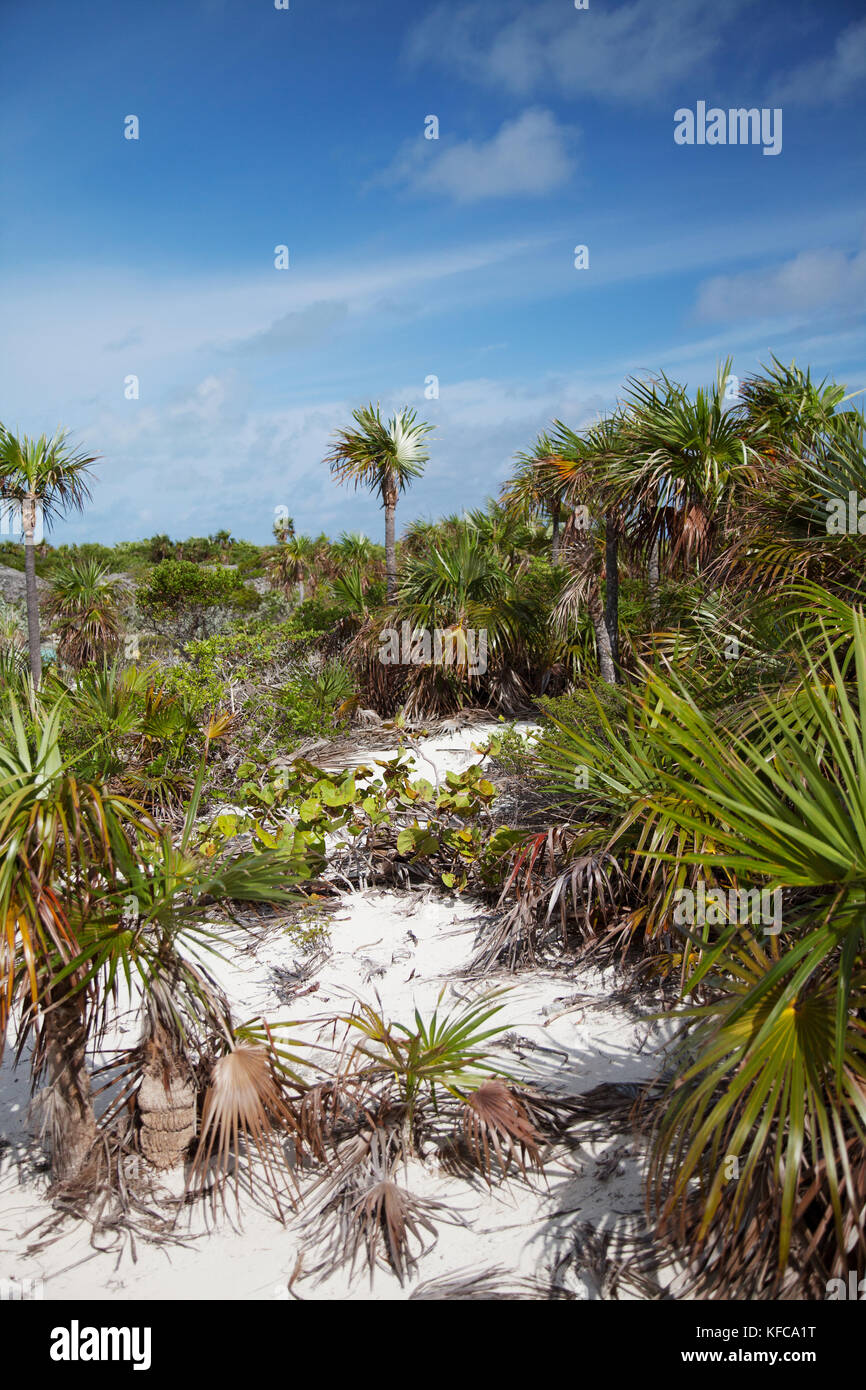 EXUMA, Bahamas. A view of Compass Cay Stock Photo - Alamy