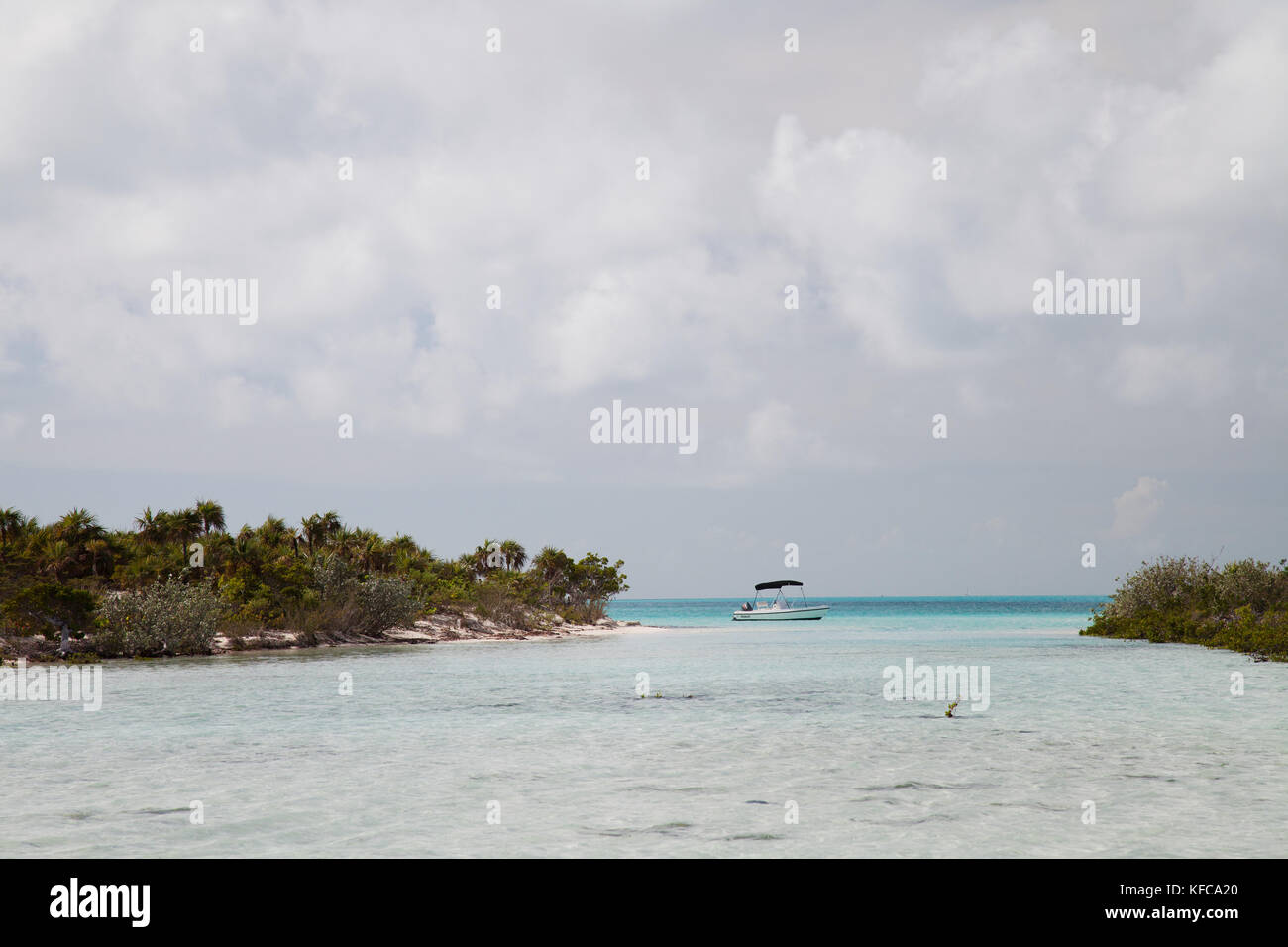 EXUMA, Bahamas. A beach and the coasline of Compass Cay Stock Photo - Alamy