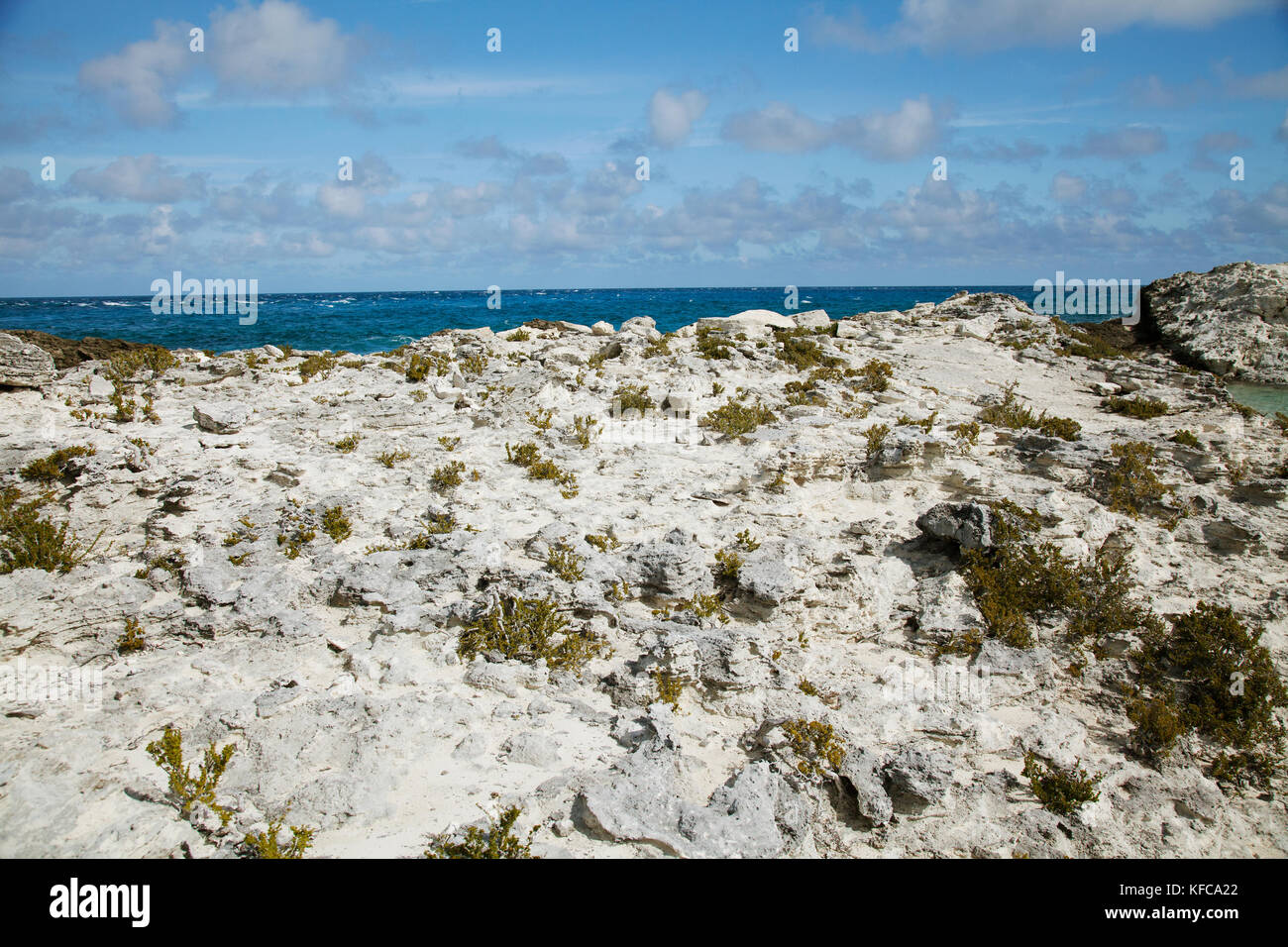 EXUMA, Bahamas. A beach and the coasline of Compass Cay Stock Photo - Alamy