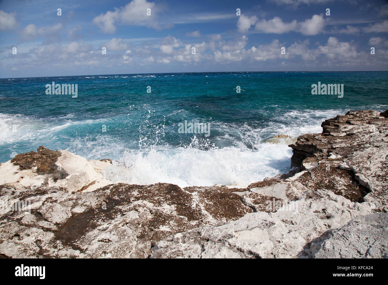 EXUMA, Bahamas. A beach and the coasline of Compass Cay Stock Photo - Alamy