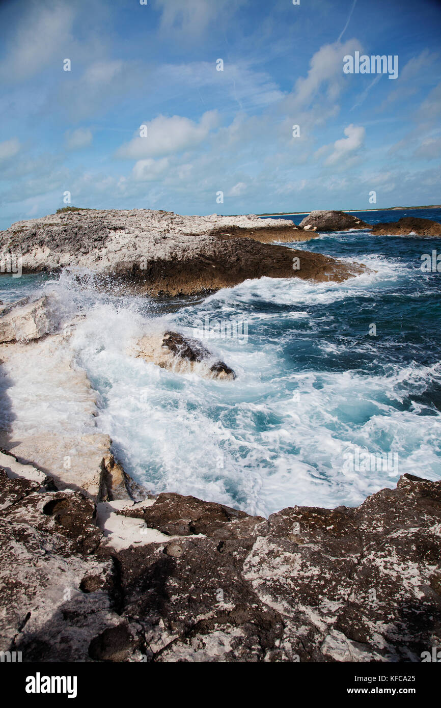 EXUMA, Bahamas. A beach and the coasline of Compass Cay Stock Photo - Alamy