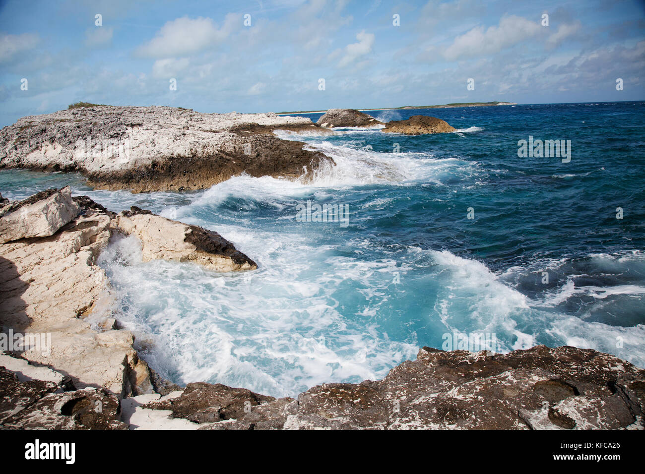 EXUMA, Bahamas. A beach and the coasline of Compass Cay Stock Photo - Alamy
