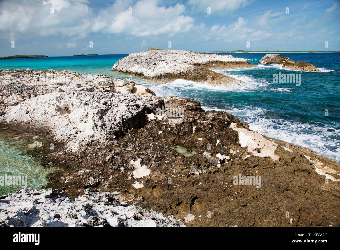 EXUMA, Bahamas. A beach and the coasline of Compass Cay Stock Photo - Alamy