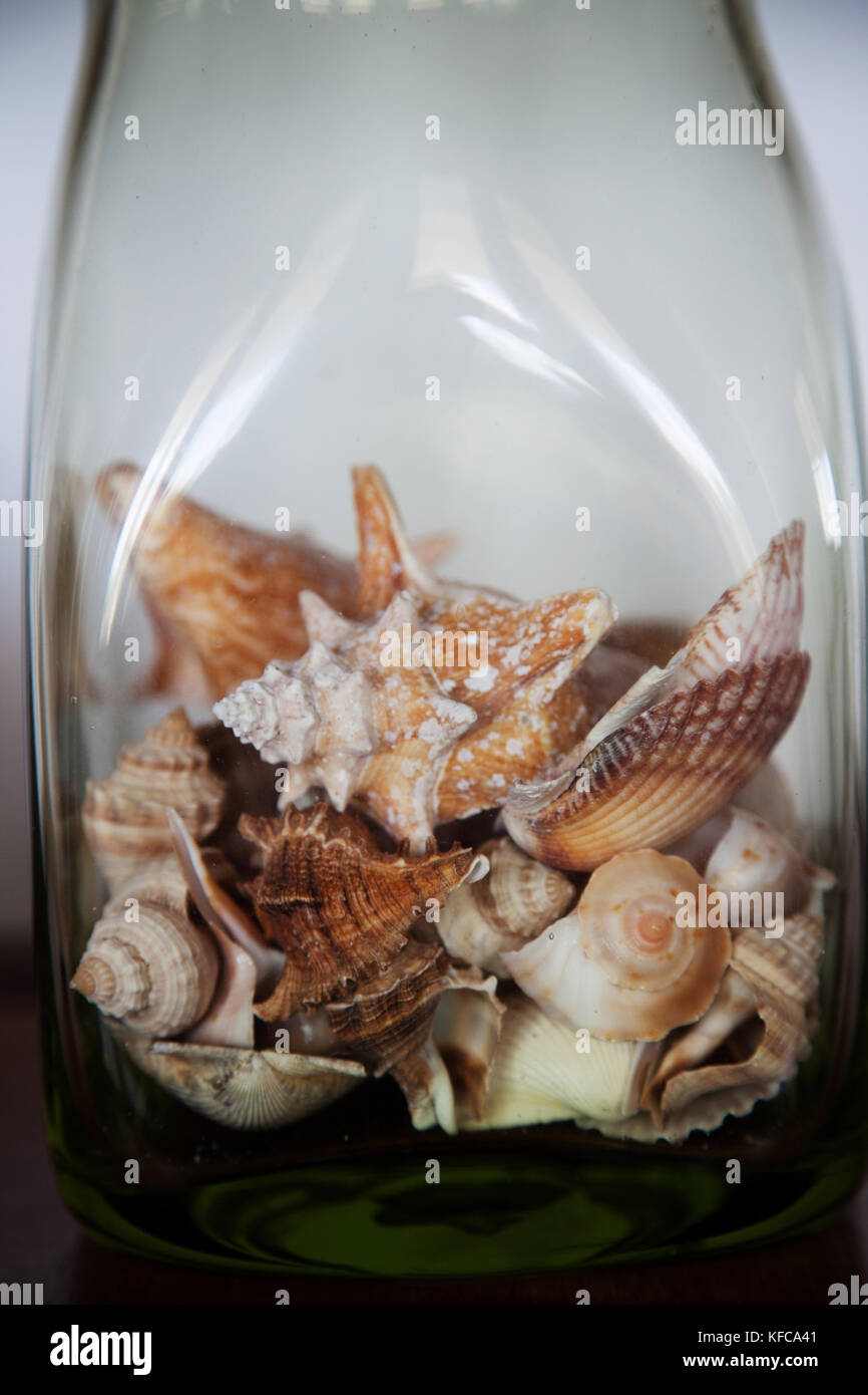 EXUMA, Bahamas. A jar of collected seashells on display in the Birdcage ...