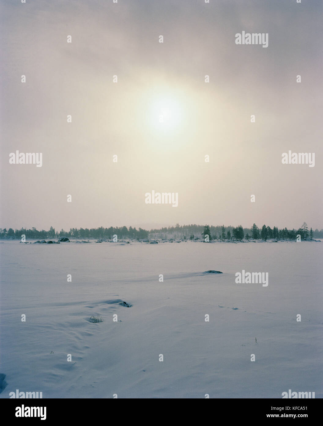 FINLAND, Inari, snow landscape with trees in background Stock Photo - Alamy