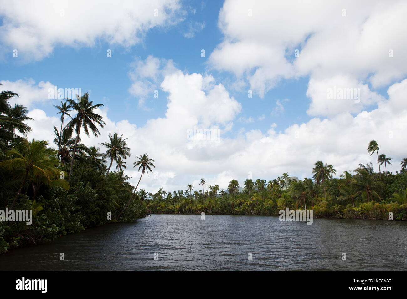 FRENCH POLYNESIA, Raiatea Island. Faarpa River Stock Photo - Alamy