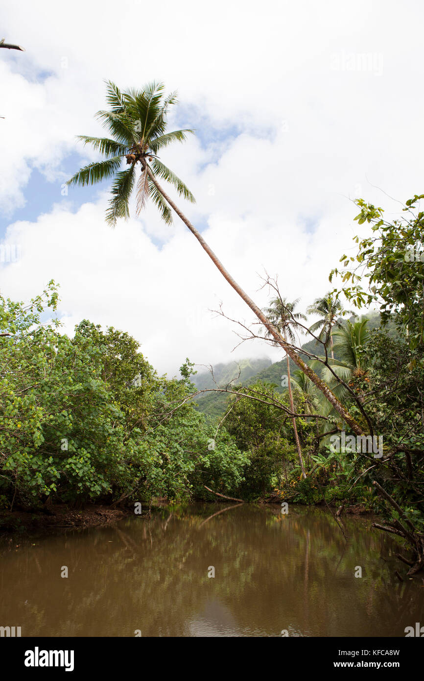FRENCH POLYNESIA, Raiatea Island. Faarpa River Stock Photo - Alamy