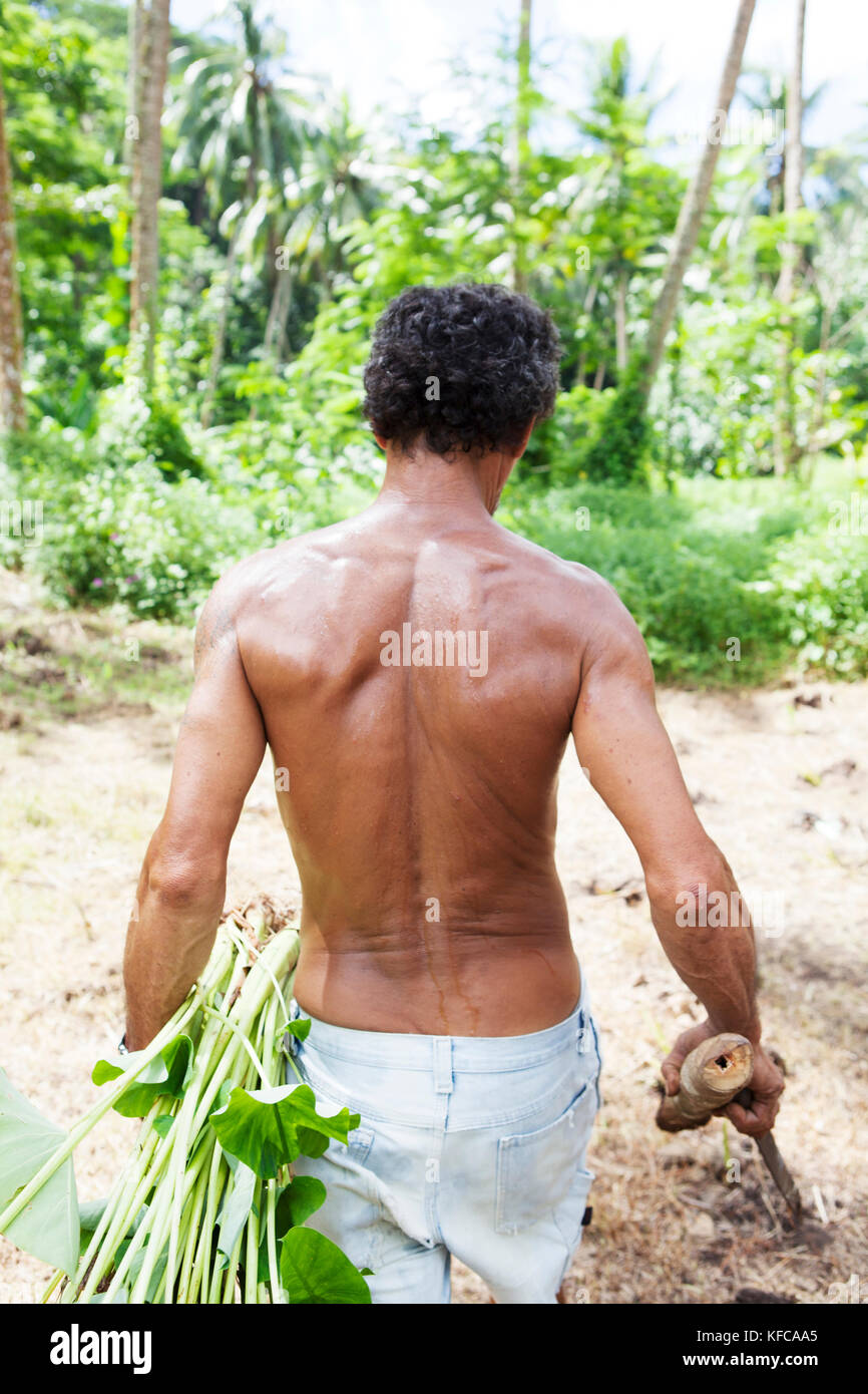 FRENCH POLYNESIA, Tahaa Island. Tetumu Tapi, a taro farmer in his farm ...