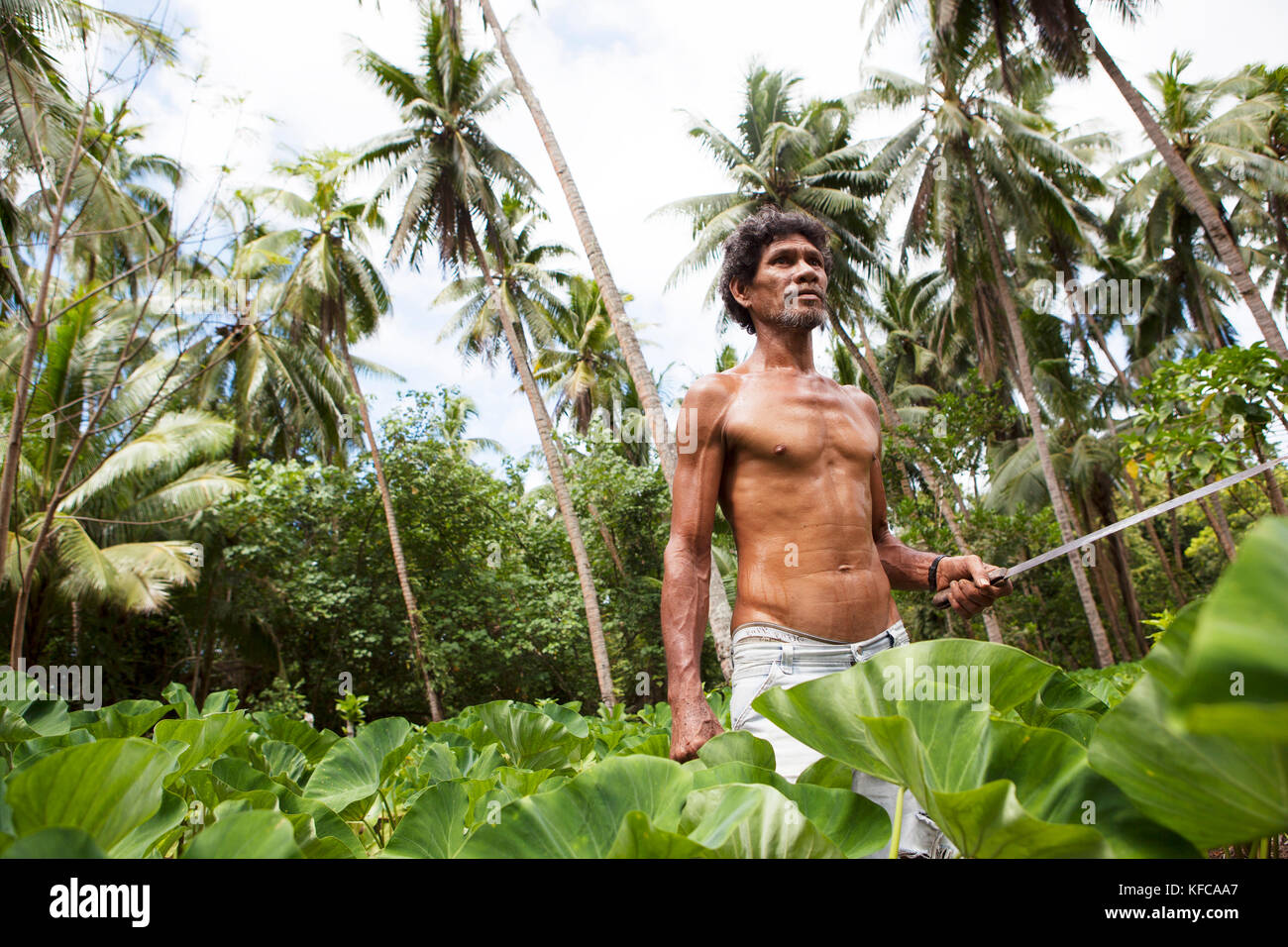 FRENCH POLYNESIA, Tahaa Island. Tetumu Tapi, a taro farmer in his farm ...