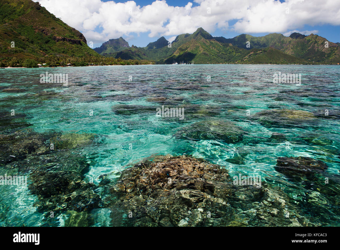FRENCH POLYNESIA, Moorea. Reefs along the coastline by Opunohu Bay ...