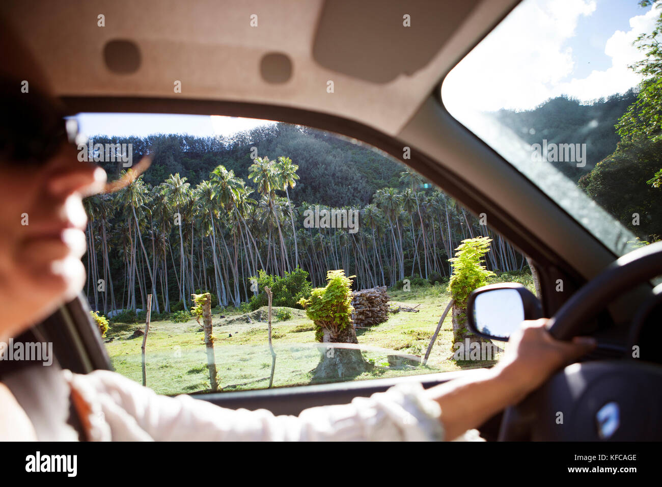 FRENCH POLYNESIA, Moorea. View of coconut trees and mountain from a car ...