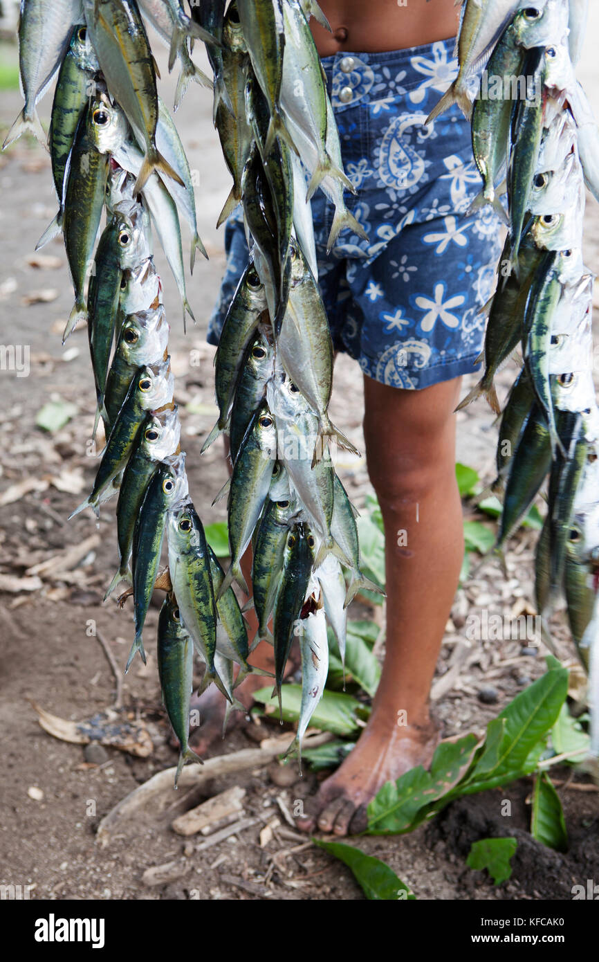 FRENCH POLYNESIA, Moorea. A young boy with his catch which he will ...