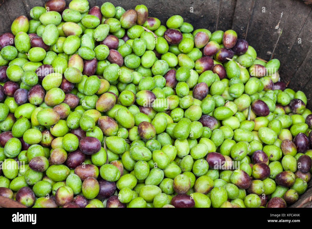 Freshly harvested green and black olives in a wooden basket for sale at ...