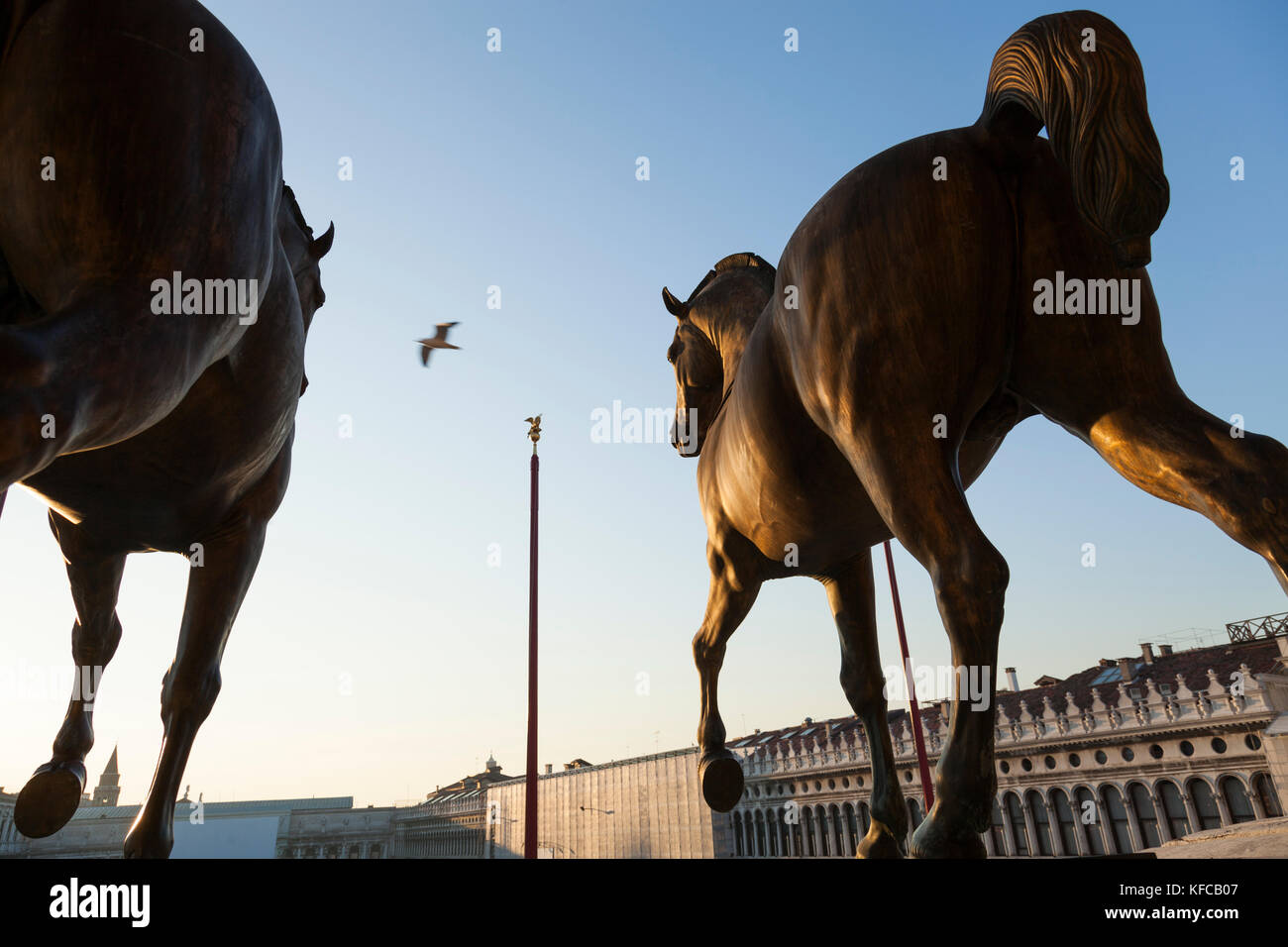 ITALY, Venice. The Horses of St. Mark, horse sculptures on the facade ...