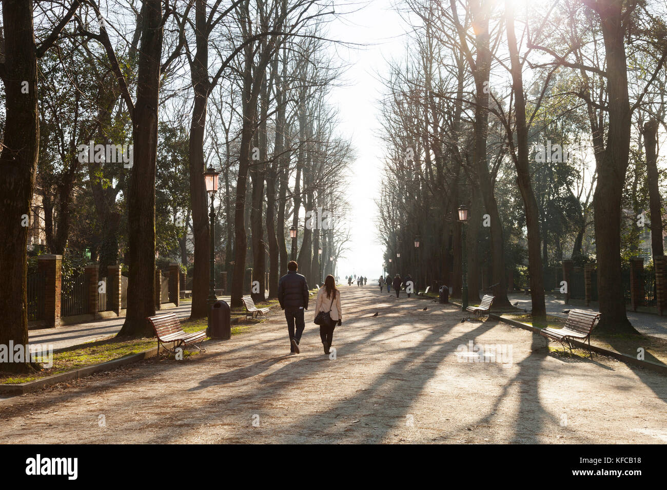 ITALY, Venice. The tree lined Viale Giuseppe Garibaldi in the Castello ...