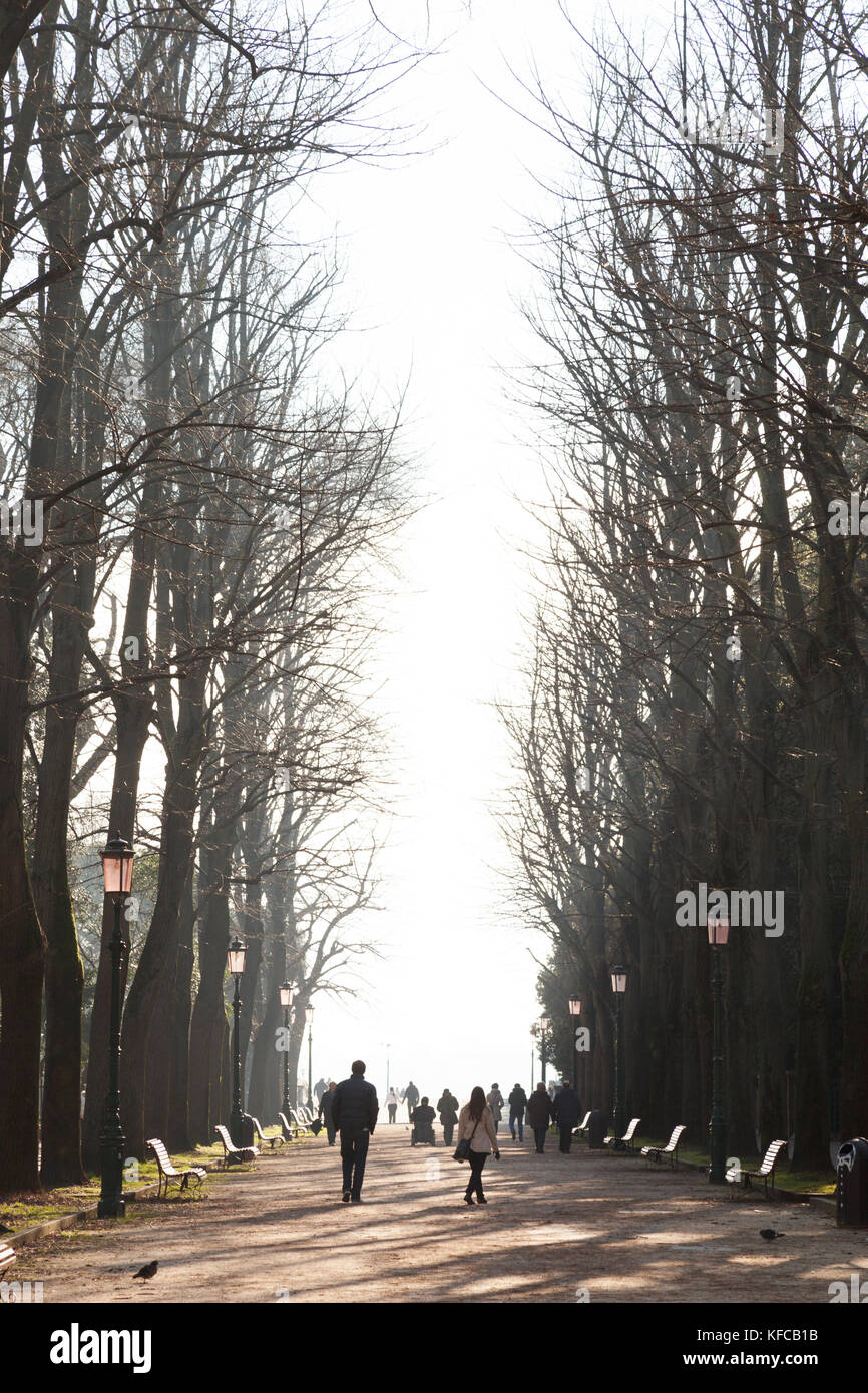ITALY, Venice. The tree lined Viale Giuseppe Garibaldi in the Castello ...