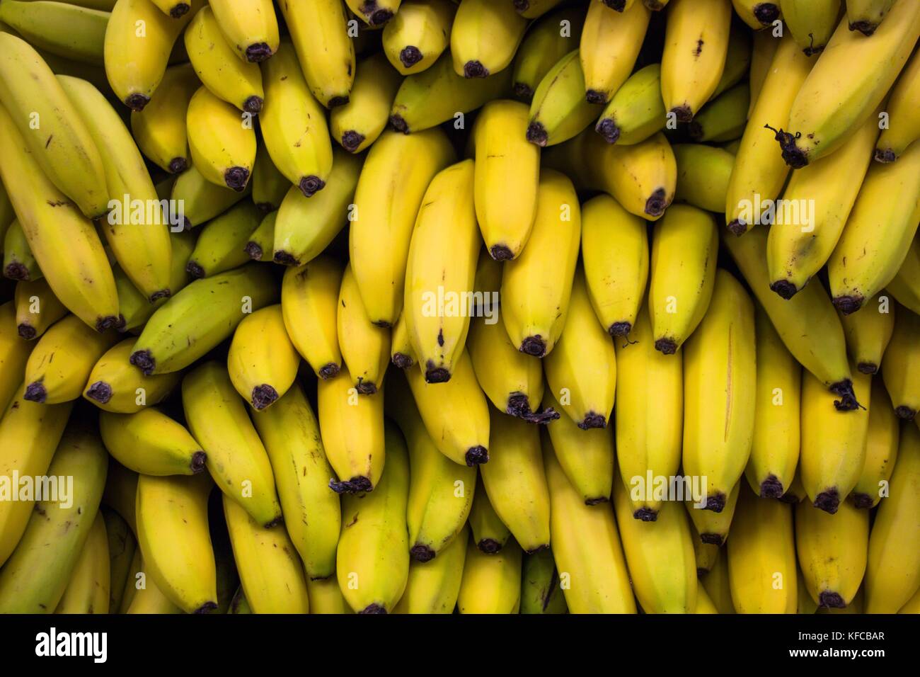 A lot of tasty, yellow and ripe bananas are stacked on top of each ...