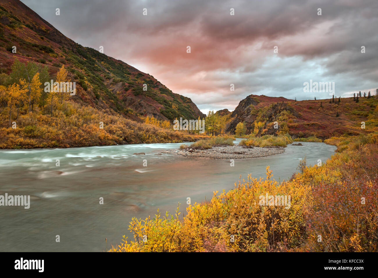 USA, Alaska, Cantwell, Horse Pack trip into the Jack River Valley at ...