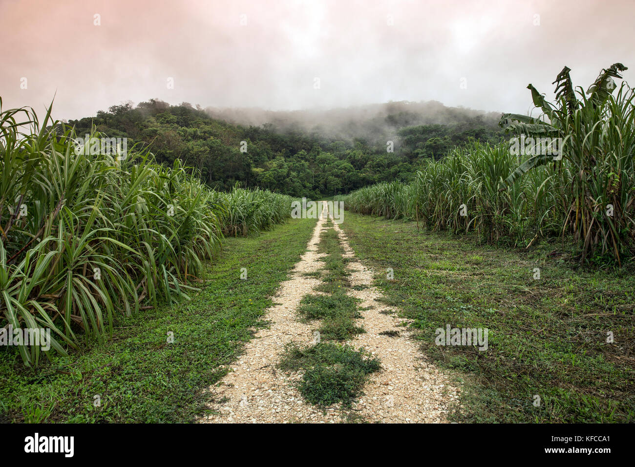 BELIZE, Punta Gorda, Toledo, some of the breathtaking scenery located ...
