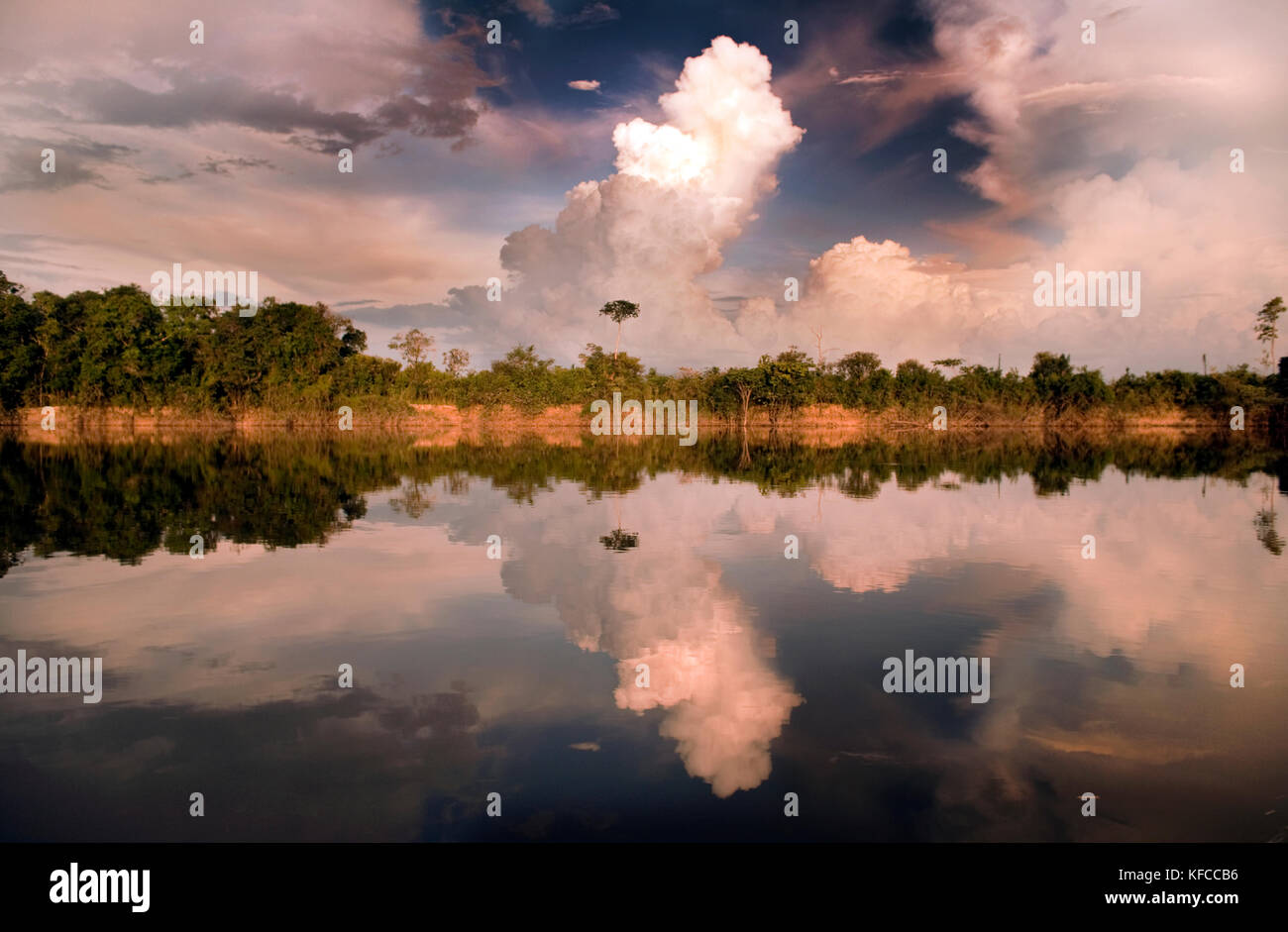 Mangroves of the amazon hi-res stock photography and images - Alamy