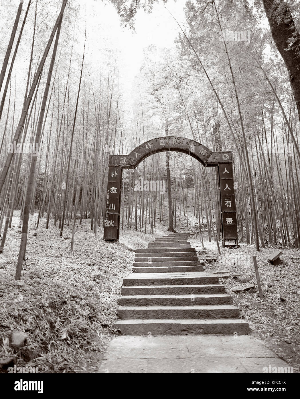 CHINA, Hangzhou, entrance of shine with steps in the bamboo forest ...