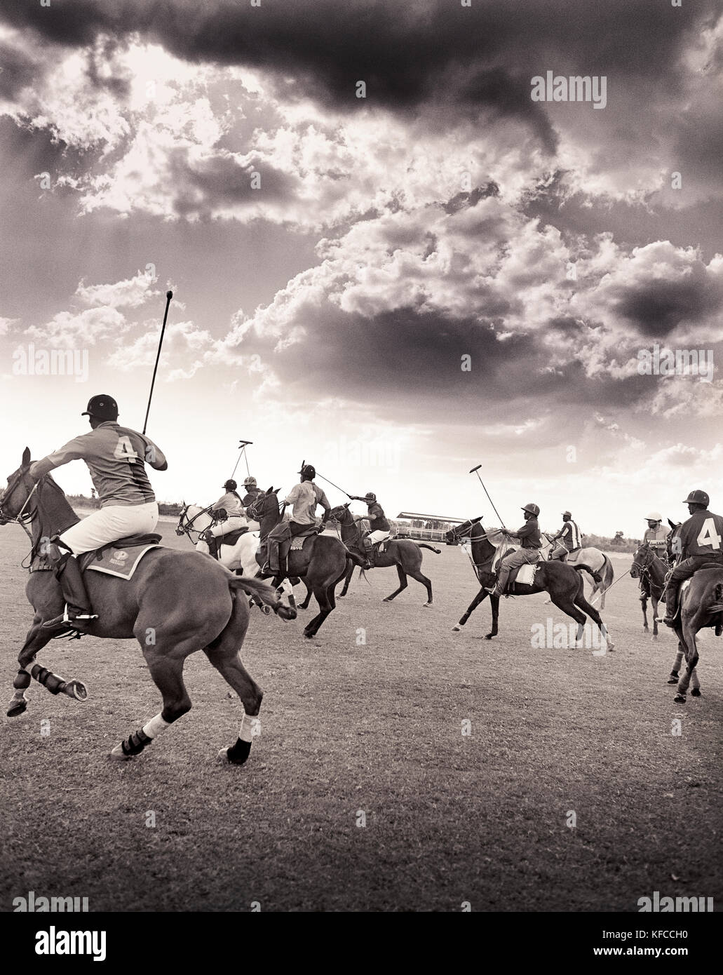 Black polo players hi-res stock photography and images - Alamy