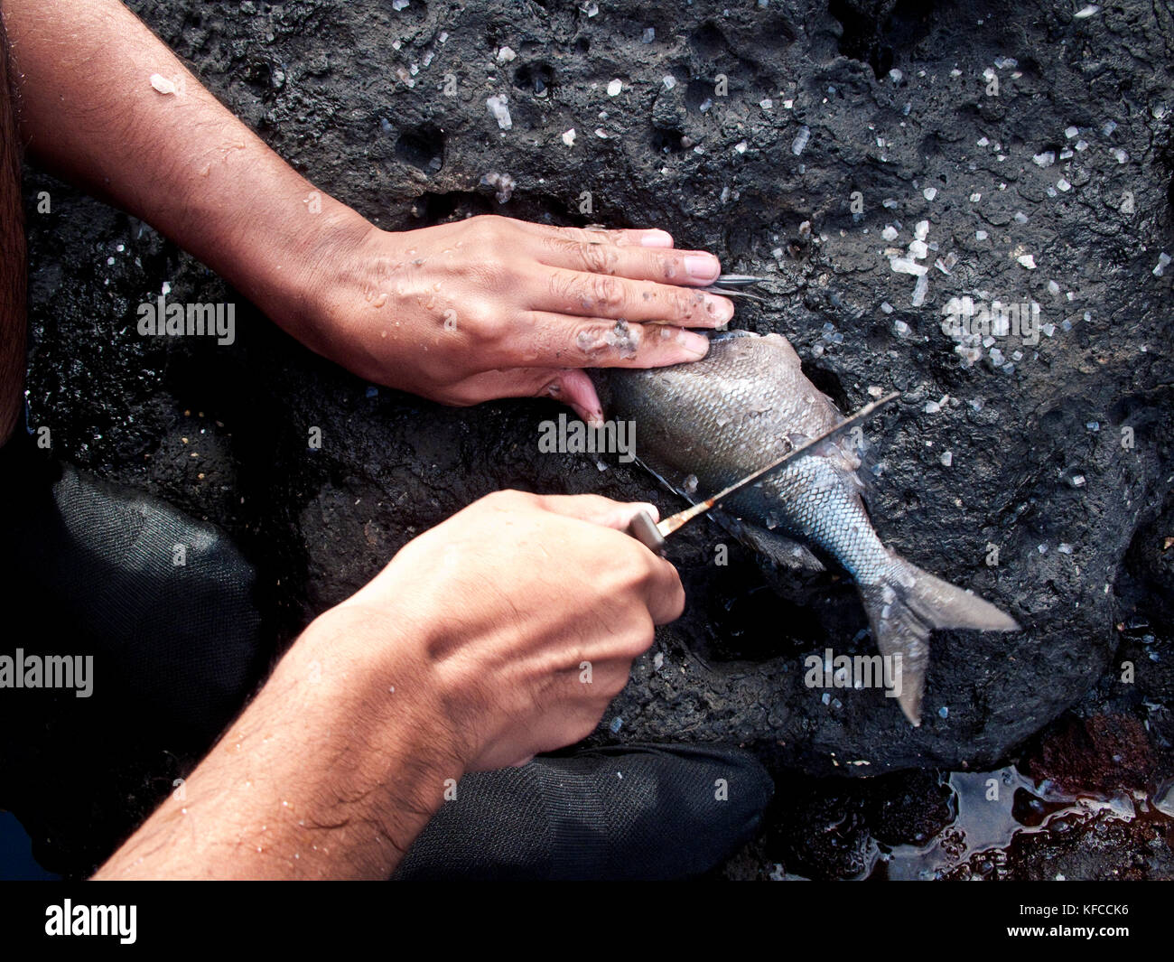 EASTER ISLAND, CHILE, Isla de Pascua, Rapa Nui, the fish caught while ...