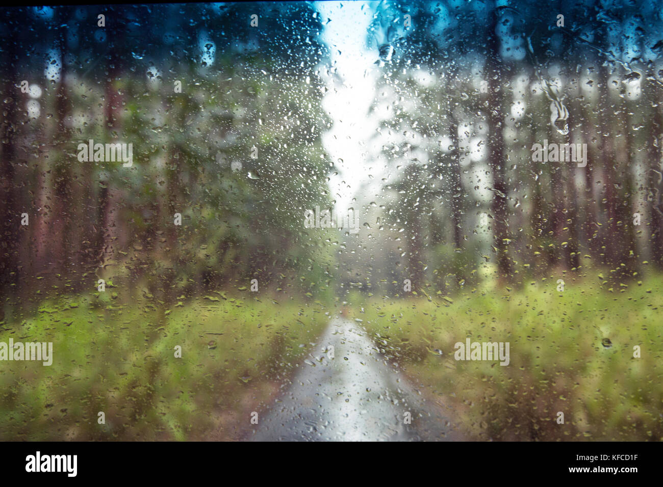 USA, Hawaii, The Big Island, journalist Daniel Duane and Chef Seamus ...