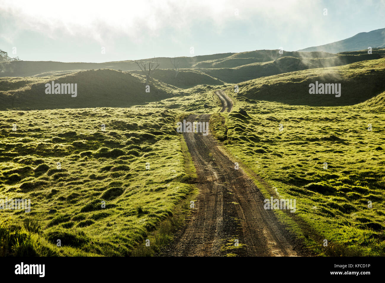 Mana mountain hi-res stock photography and images - Alamy