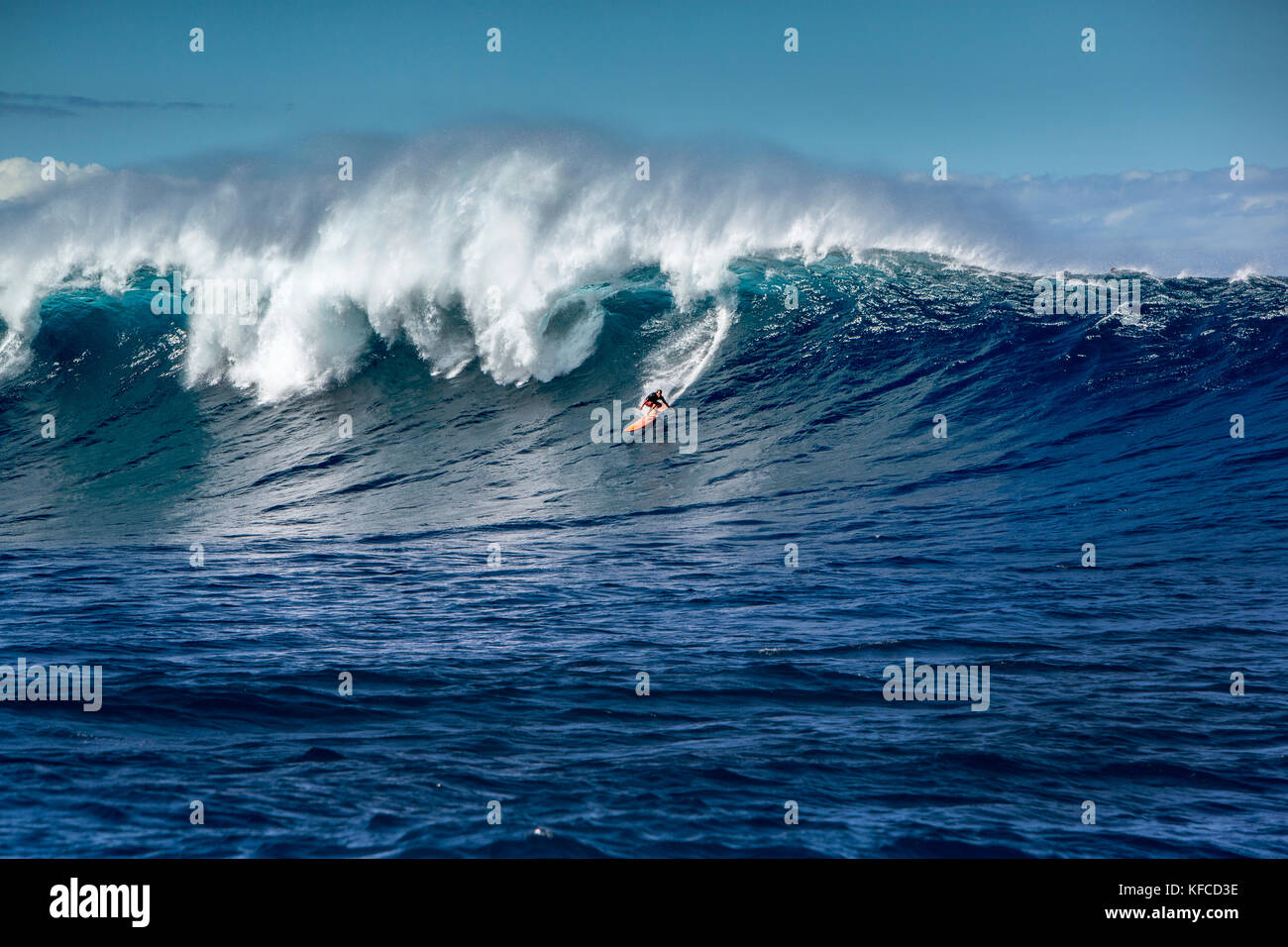USA, HAWAII, Maui, Jaws, big wave surfers taking off on a wave at Peahi ...
