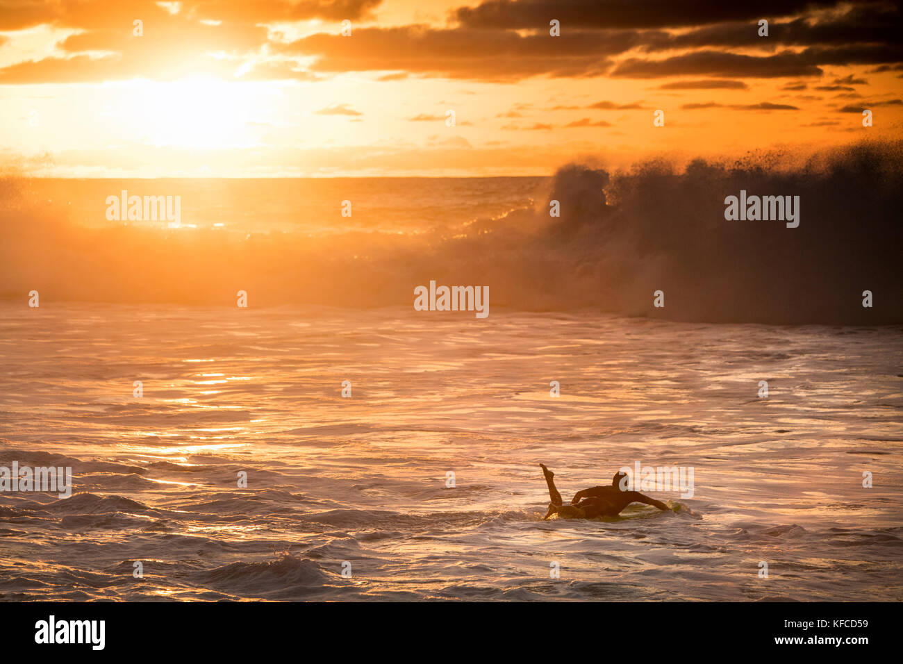 HAWAII, Oahu, North Shore, Big Wave surfer Jamie O'Brien surfing at ...
