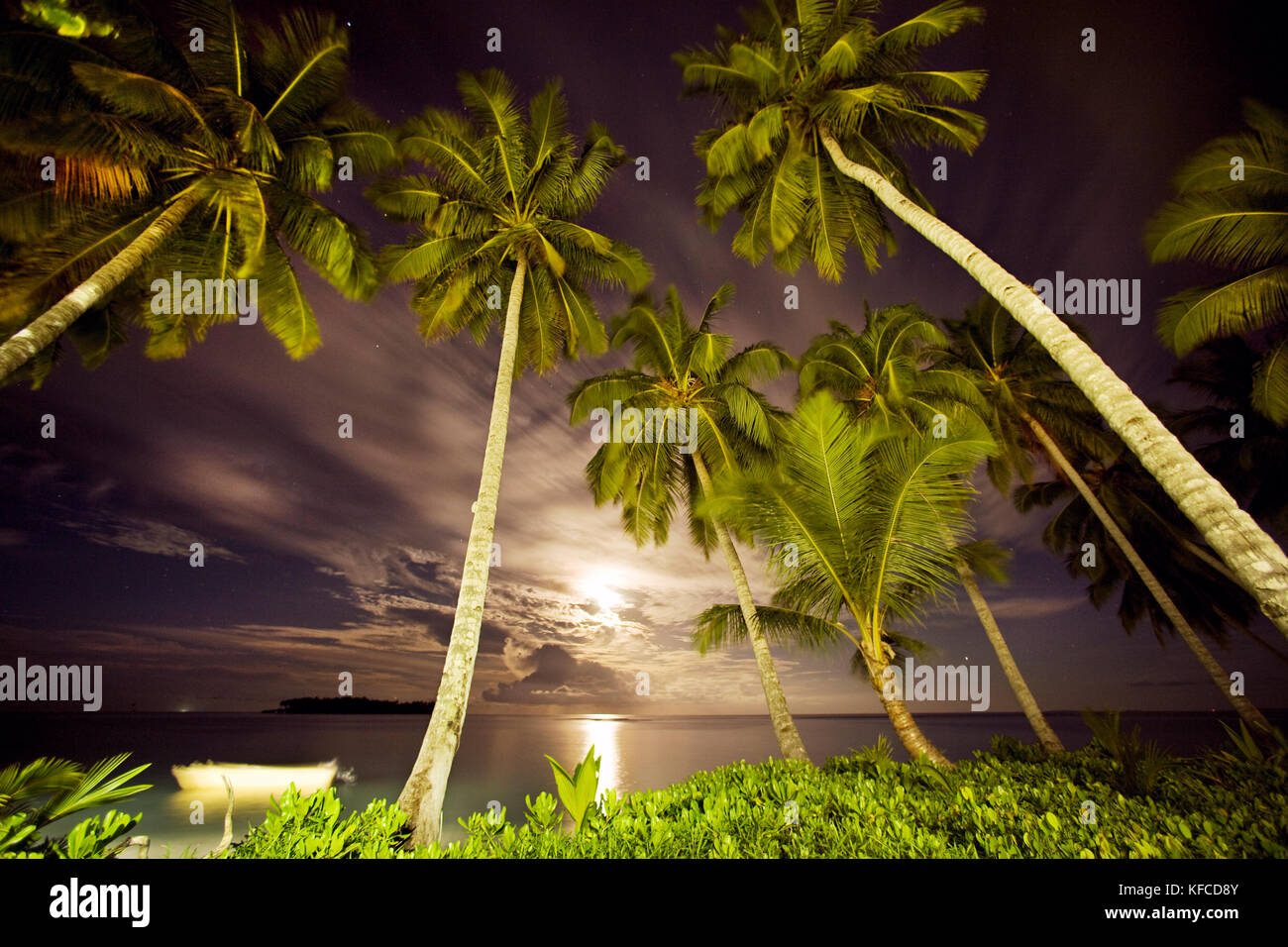 INDONESIA, Mentawai Islands, Kandui Resort, palm trees with Indian ...
