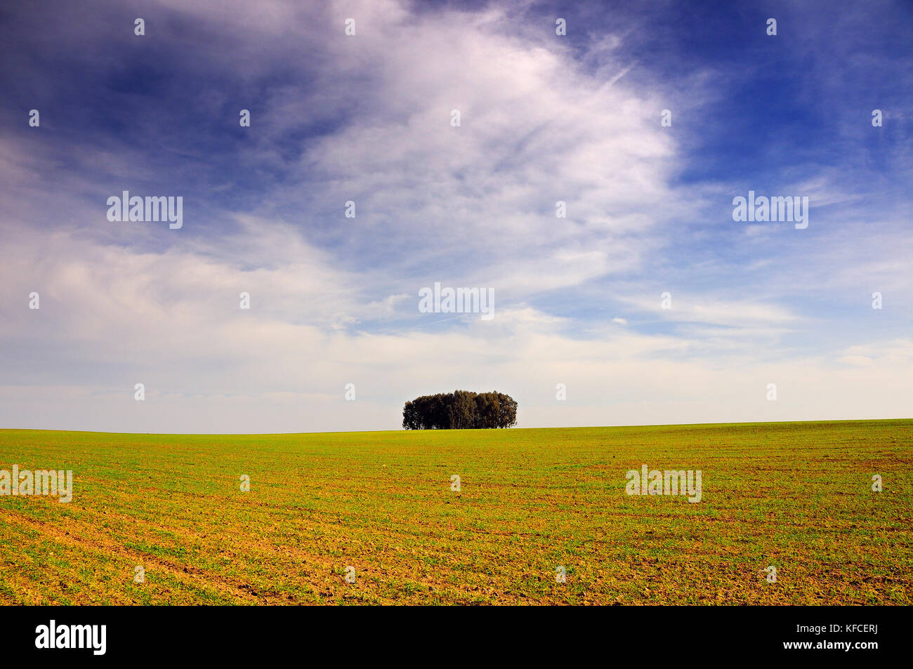 The vast plains of Alentejo. Portugal Stock Photo - Alamy