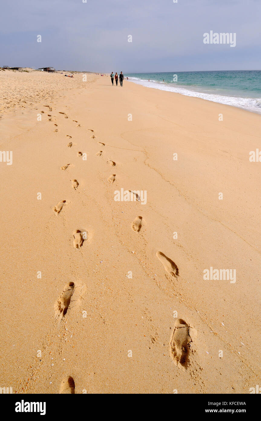 Comporta beach, Alentejo. Portugal Stock Photo - Alamy