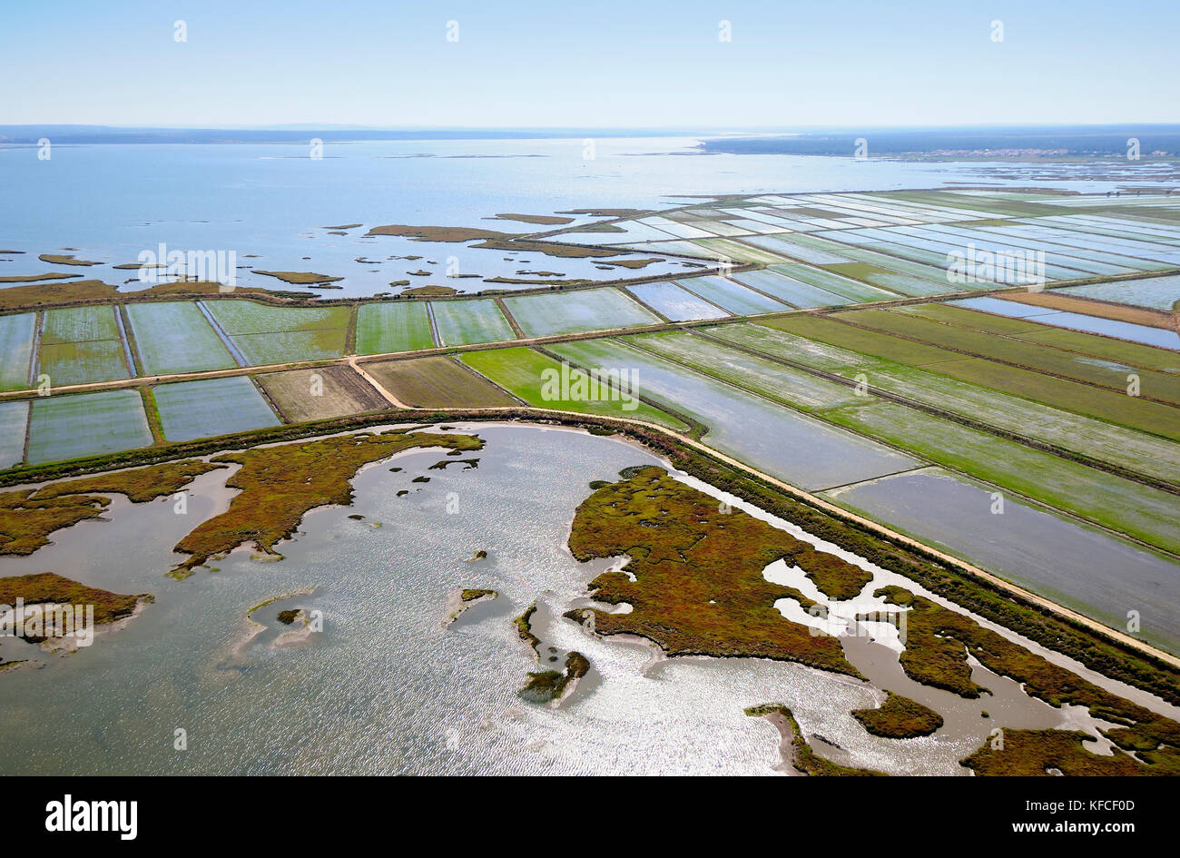 Comporta rice hi-res stock photography and images - Alamy