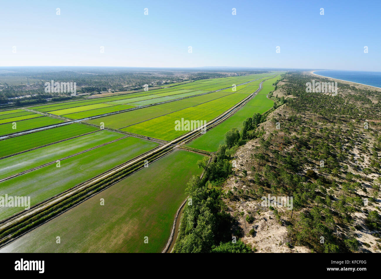 Aerial view of rice fields. Comporta, Alentejo, Portugal Stock Photo ...