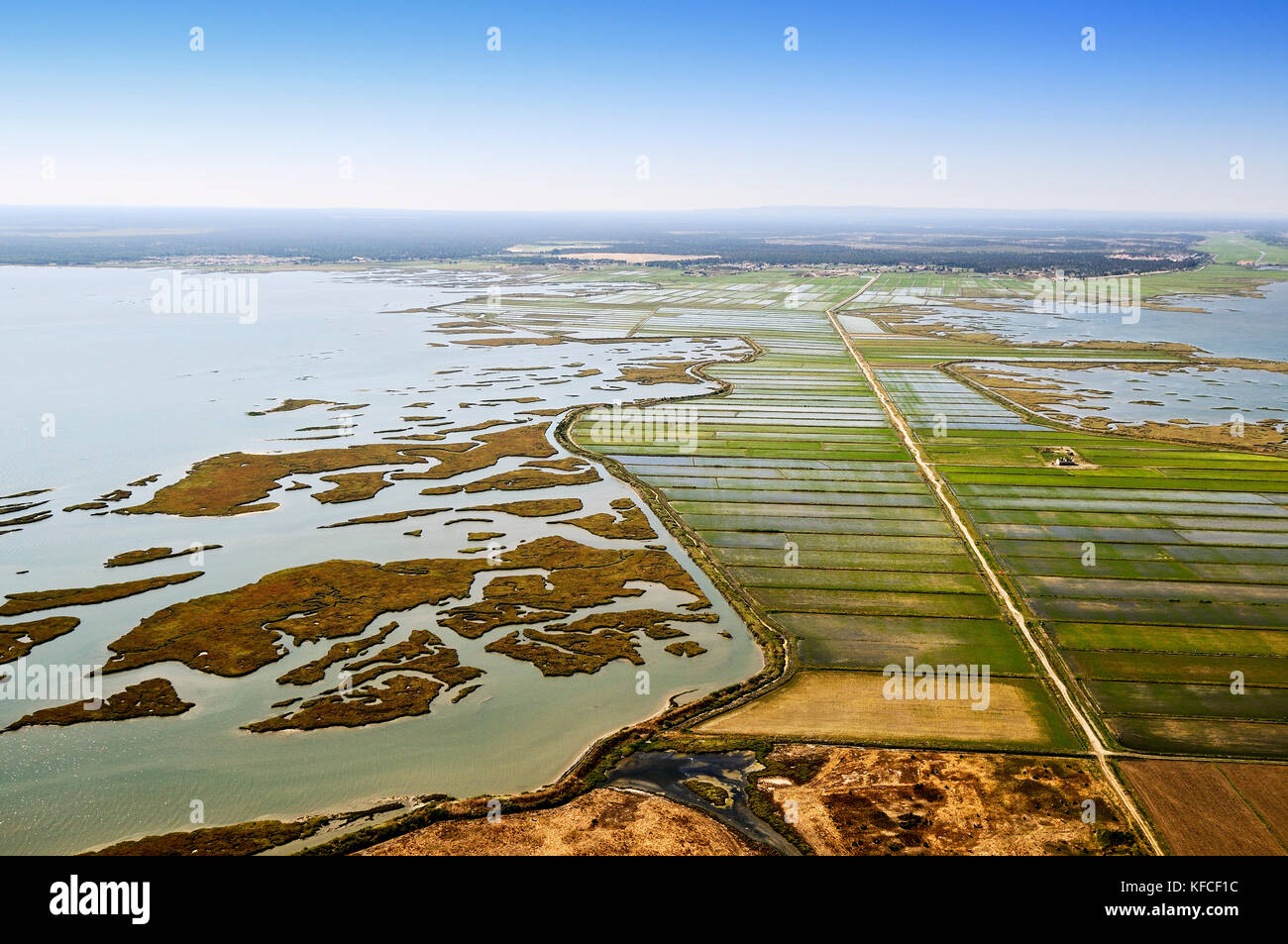 Aerial view of rice fields and marshes along the Sado river. Comporta ...