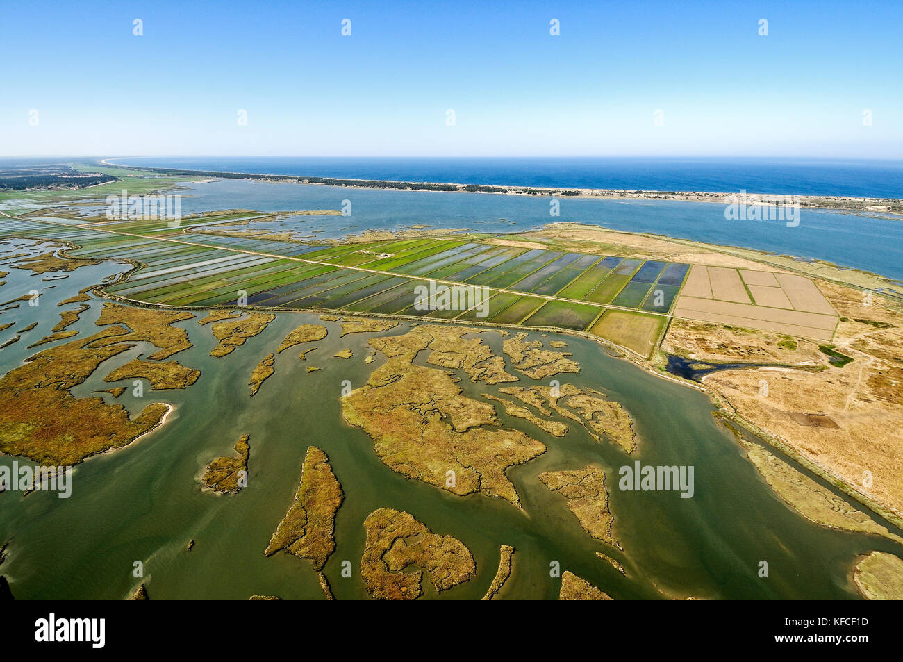 Comporta rice fields hi-res stock photography and images - Alamy