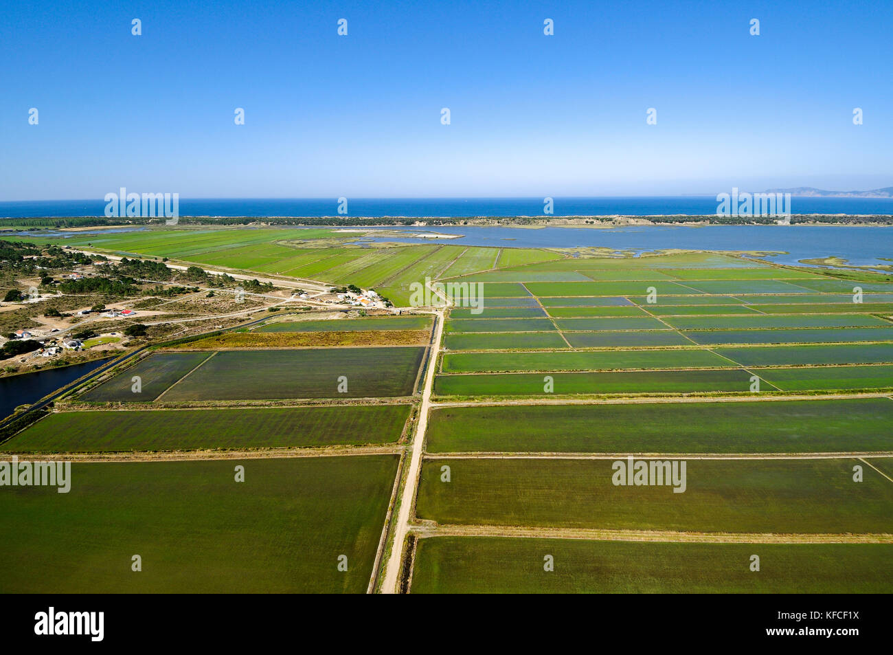 Aerial view of rice fields. Comporta, Alentejo, Portugal Stock Photo ...