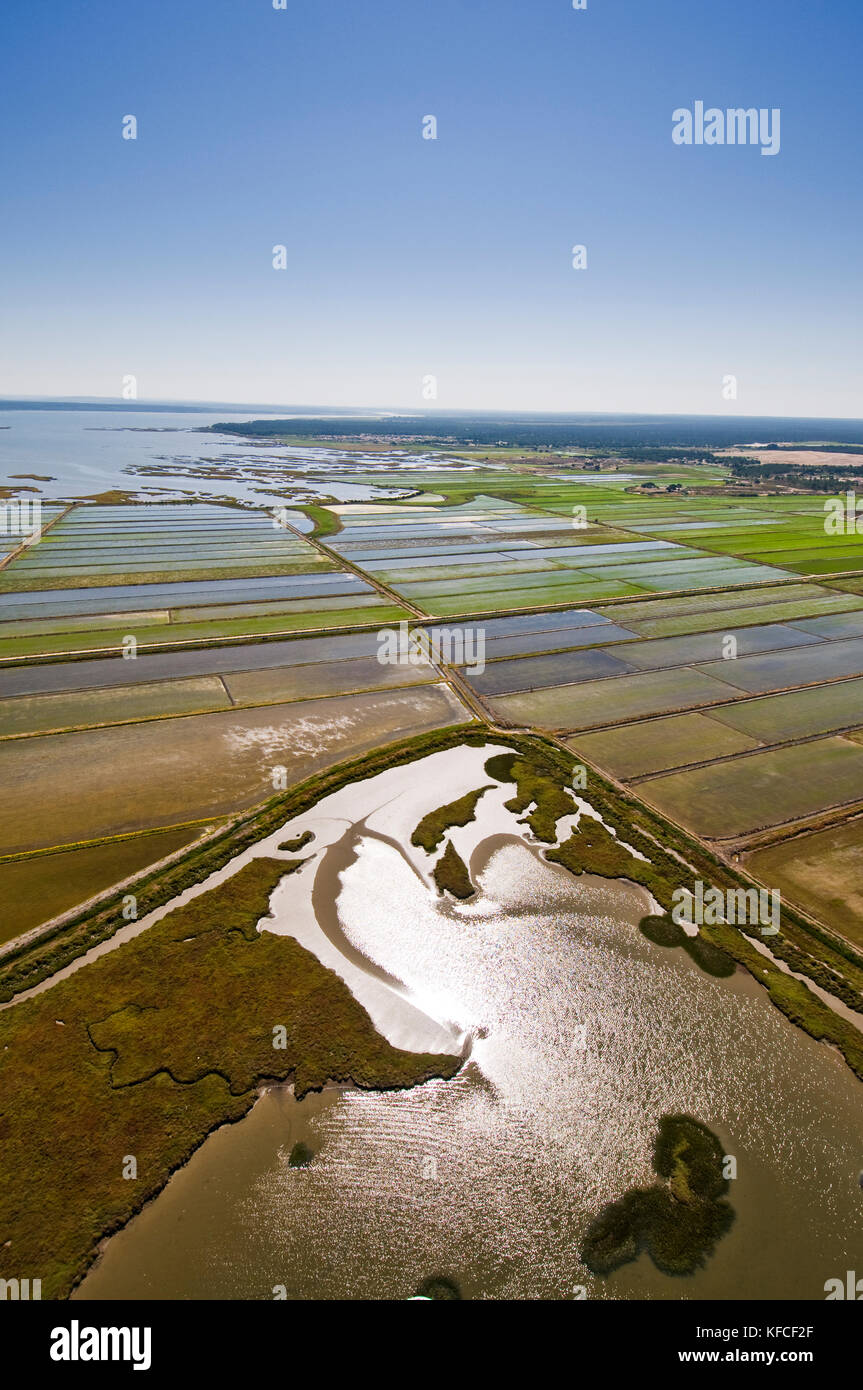 Aerial view of rice fields and marshes along the Sado river. Comporta ...
