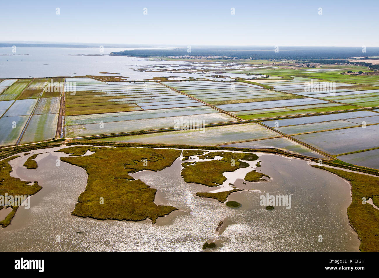 Comporta rice hi-res stock photography and images - Alamy