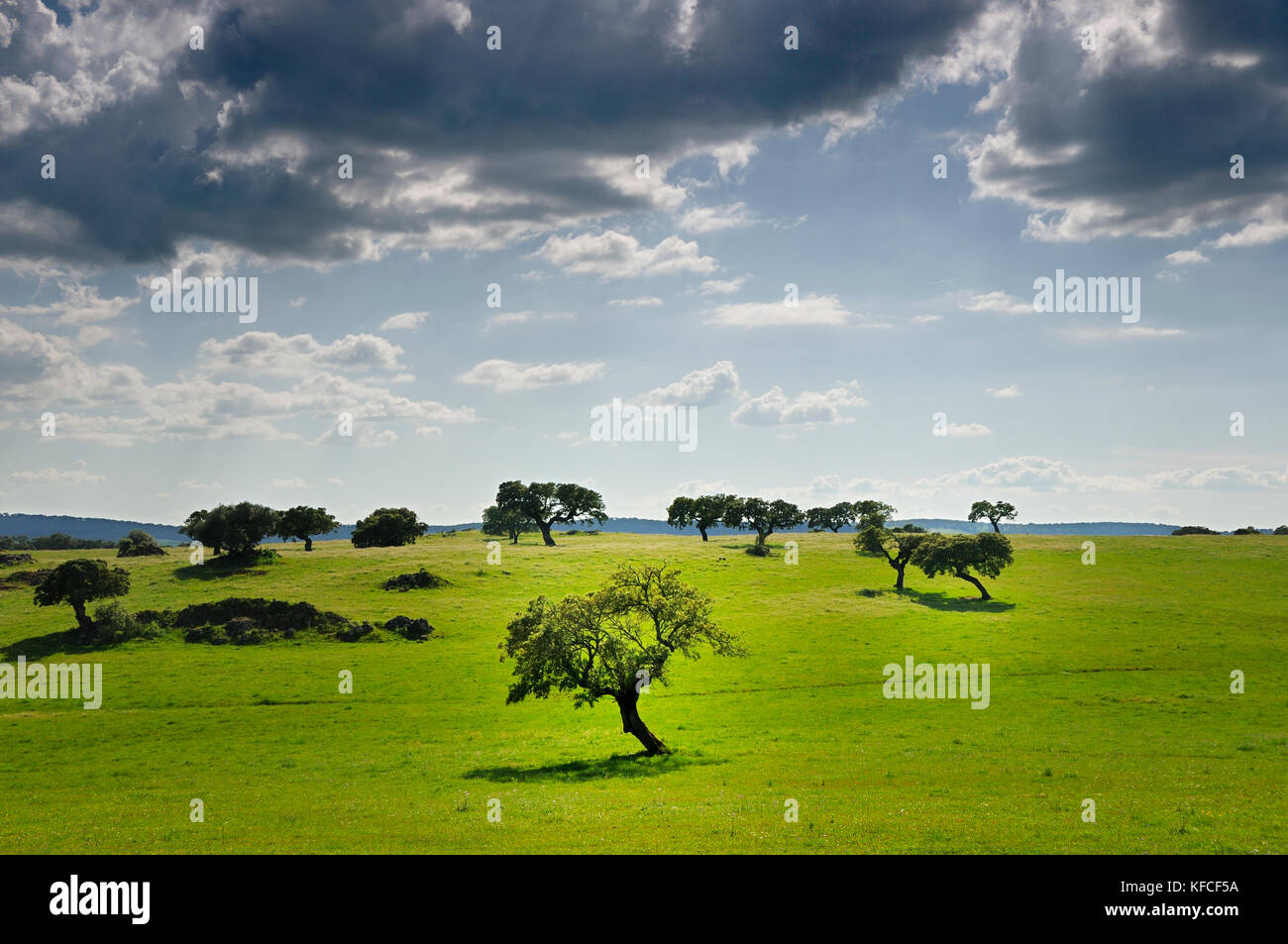 Alentejo plains hi-res stock photography and images - Alamy