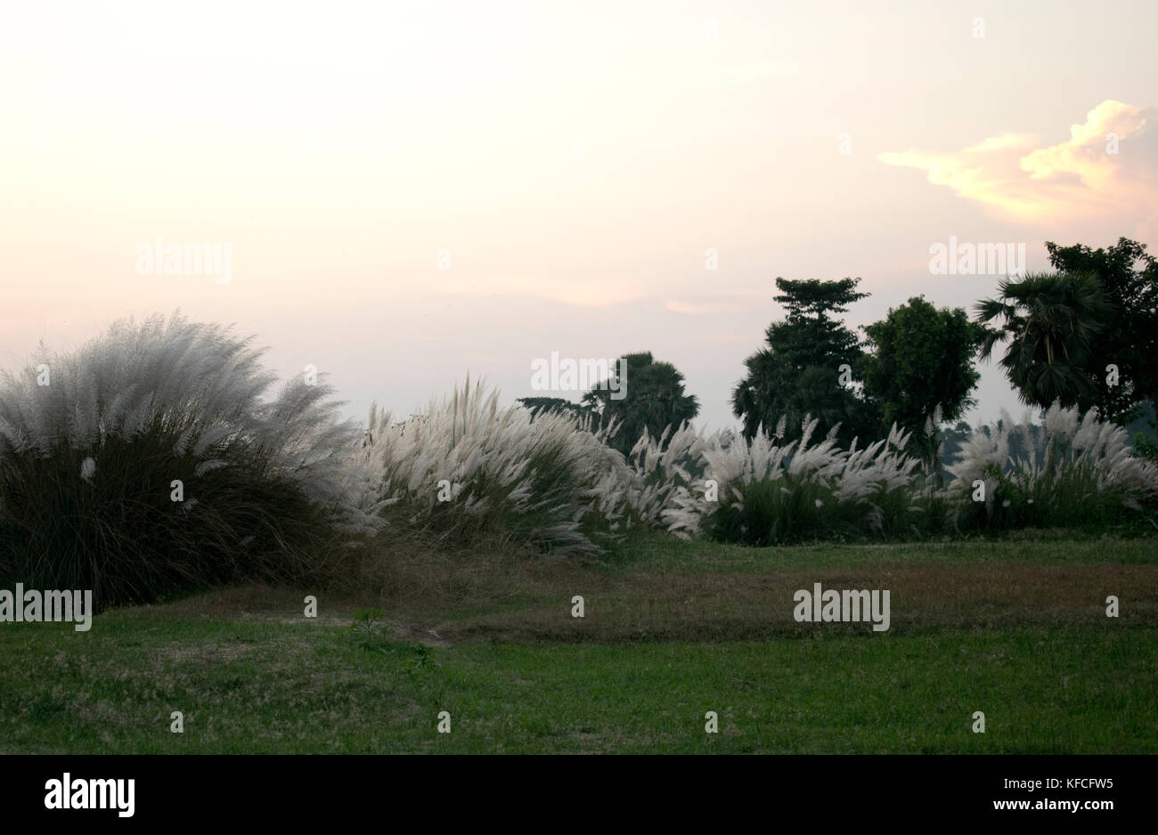 Beauty of india hi-res stock photography and images - Alamy